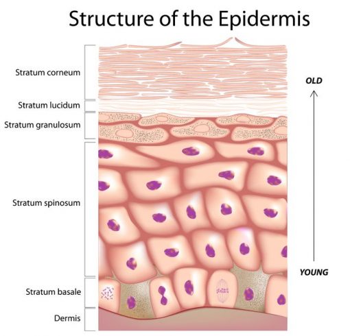 How to Instantly Revive Dull Skin [FREE tip inside] - Beverly Hills MD