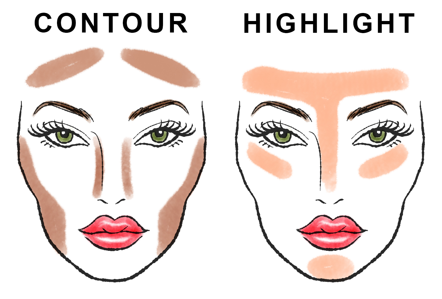 Step by Step Guide Contour And Highlight Your Face